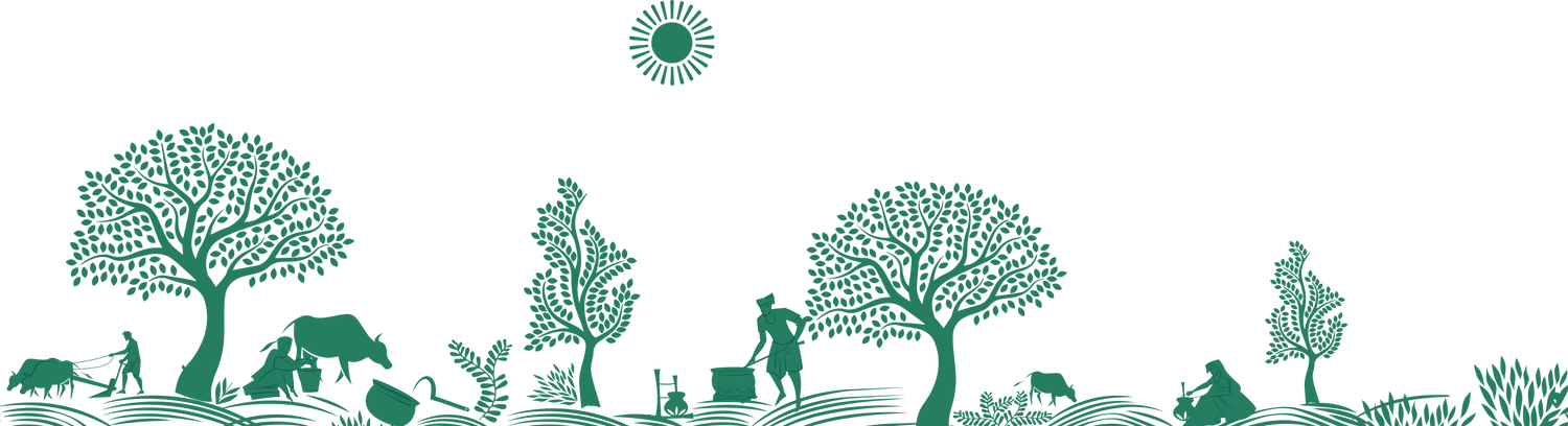 5 Benefits of Drinking Milk with Ghee at Night | Anveshan Farms