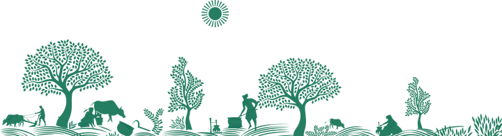 Safflower Oil – Anveshan